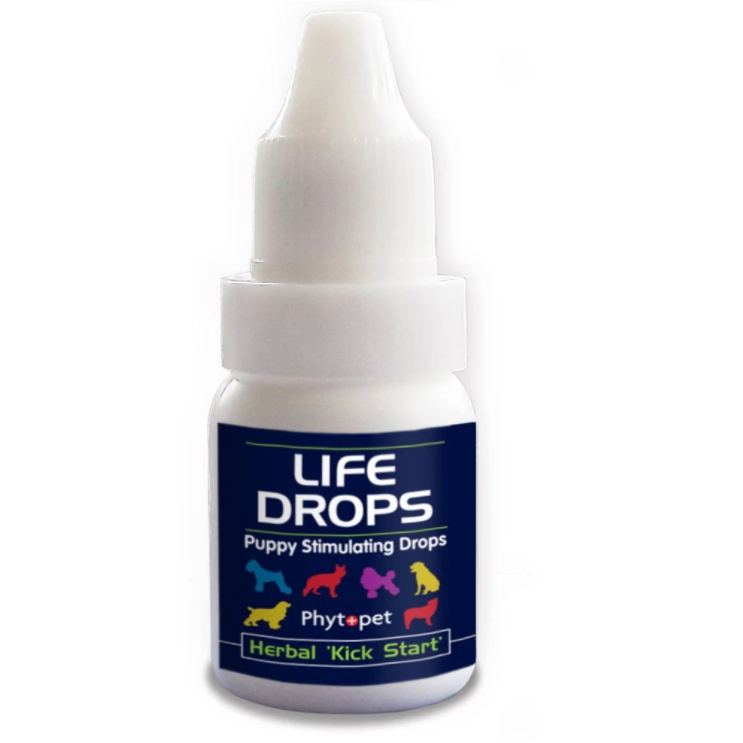 Life Drops for Puppy - Petnap Stimulation Drop | Kick Start Puppies