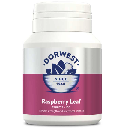 Raspberry Leaf Tablets - Petnap Raspberry Leaf Capsules