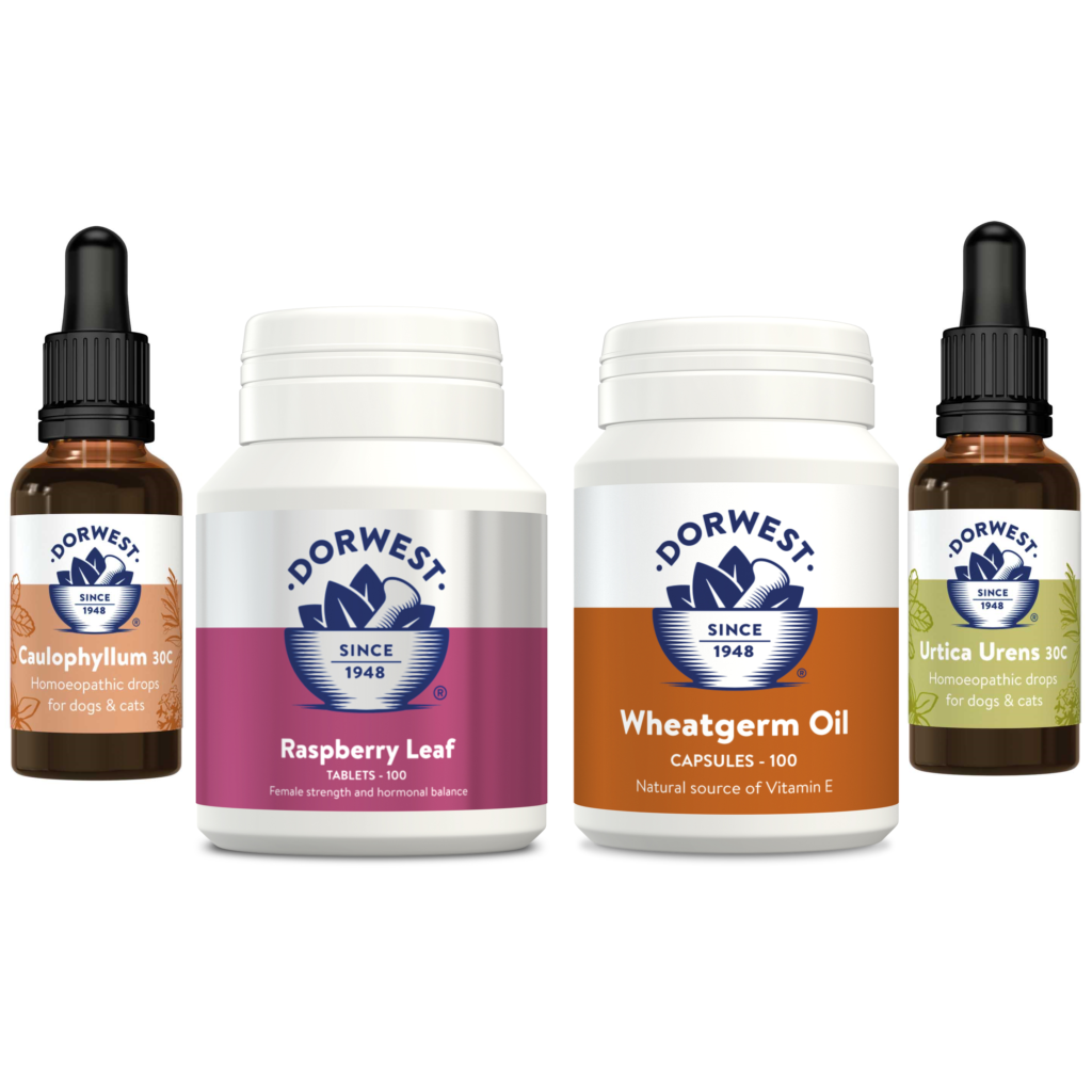 Whelping Supplement Kit - Petnap | Whelping Pills | Tablets | Lactation